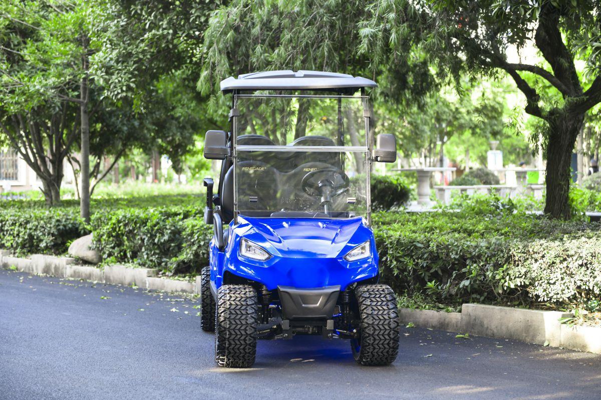 China Easy Operate 200CC Injection New type 2*2 Golf Cart Reception Car ...